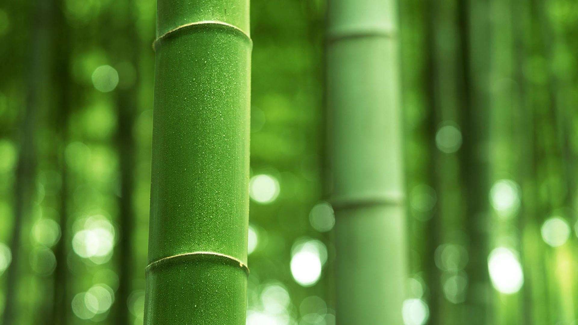 What Is The Recycle Symbol And What Does It Mean?